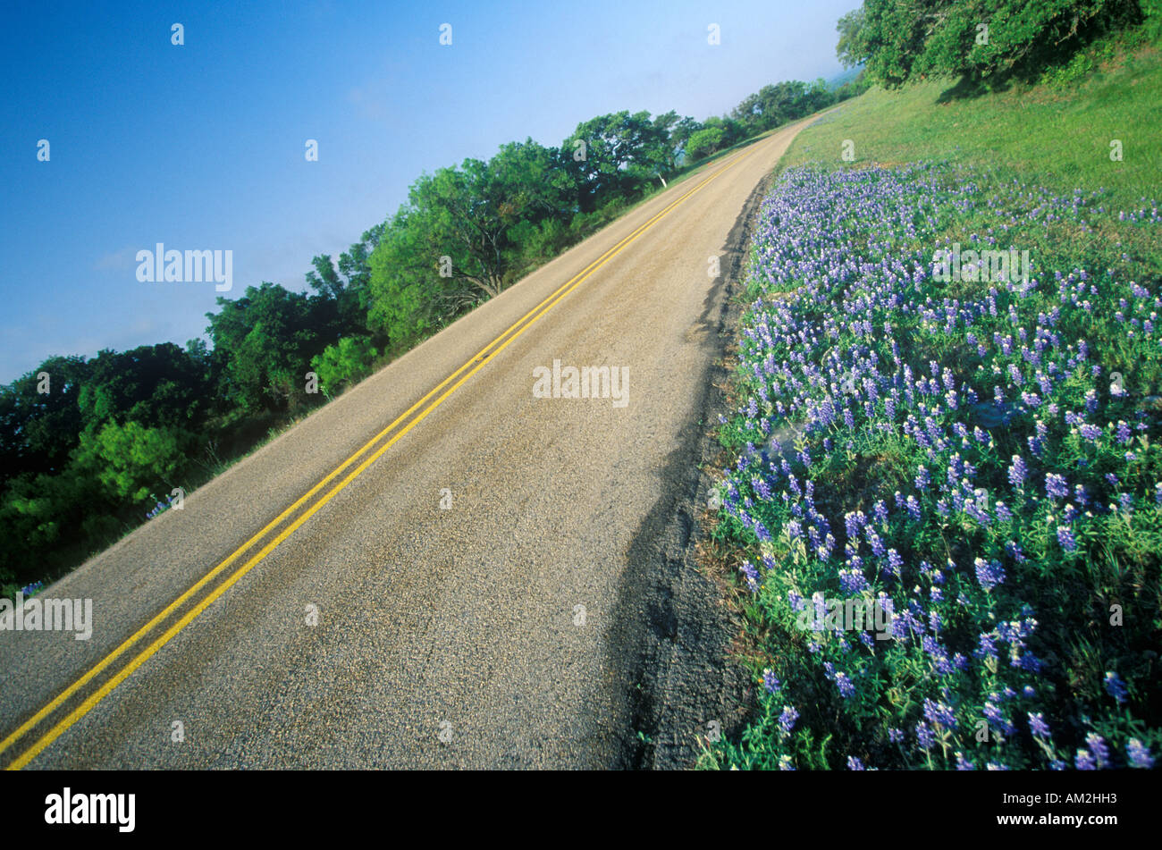 Spring usa bonnets hi-res stock photography and images - Alamy