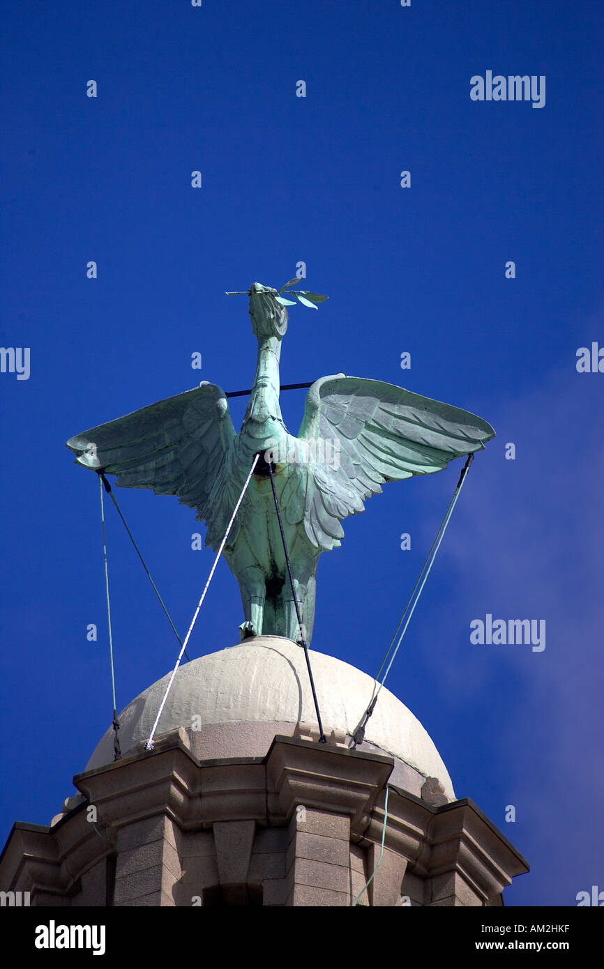 Liver bird symbol of liverpool hi-res stock photography and images - Alamy