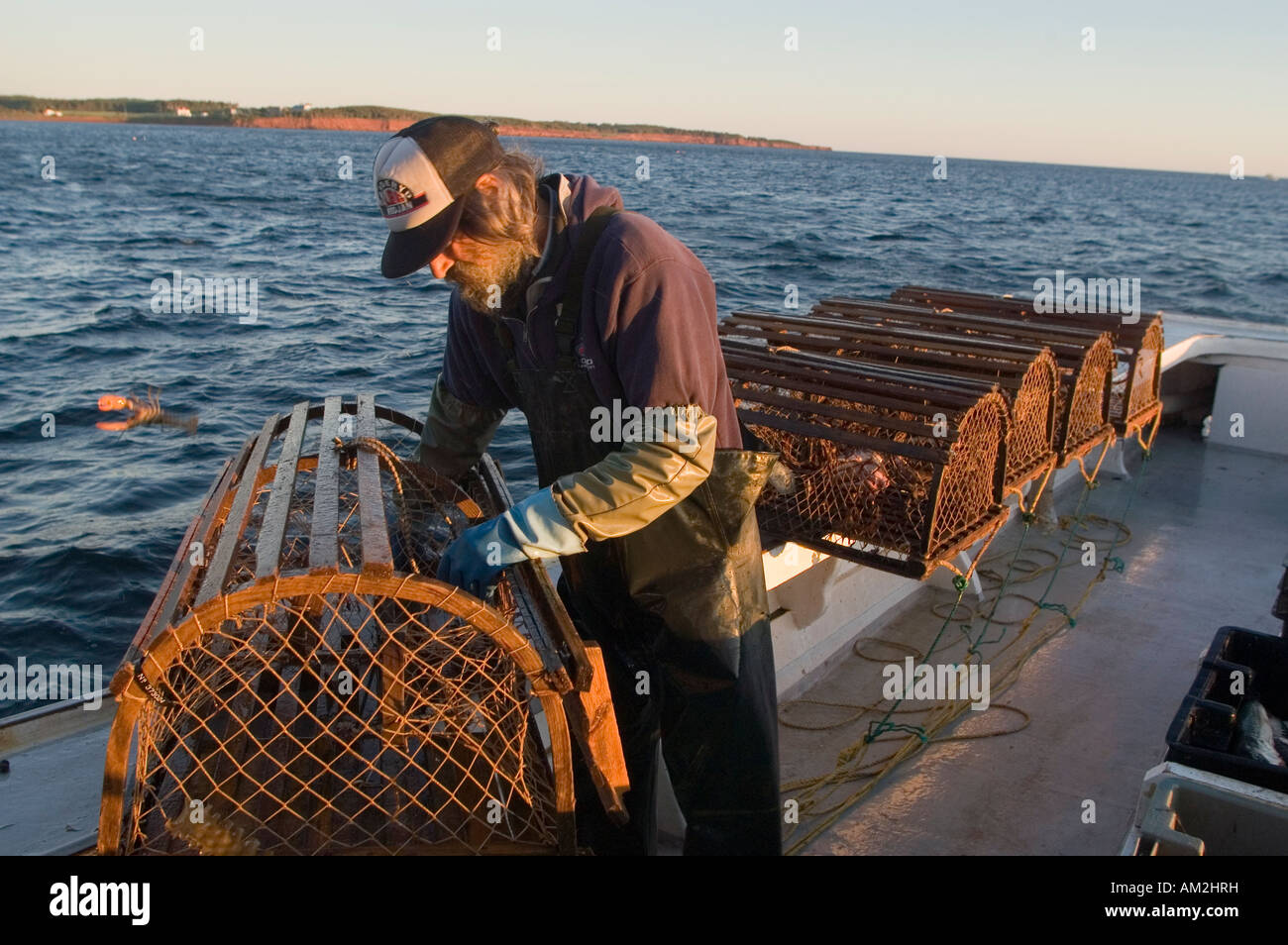 Baiting traps hi-res stock photography and images - Alamy
