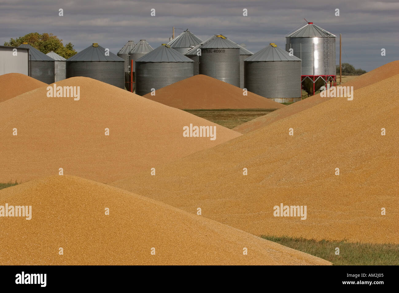 Piles of grain from a bumper crop near Mortlach in scenic Southern ...