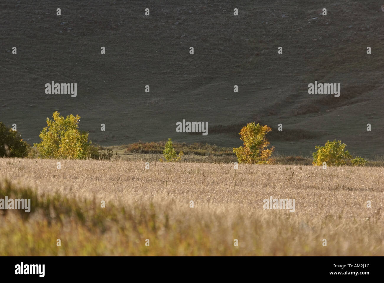 A picturesque view into a valley in Southern Saskatchewan Canada Stock ...