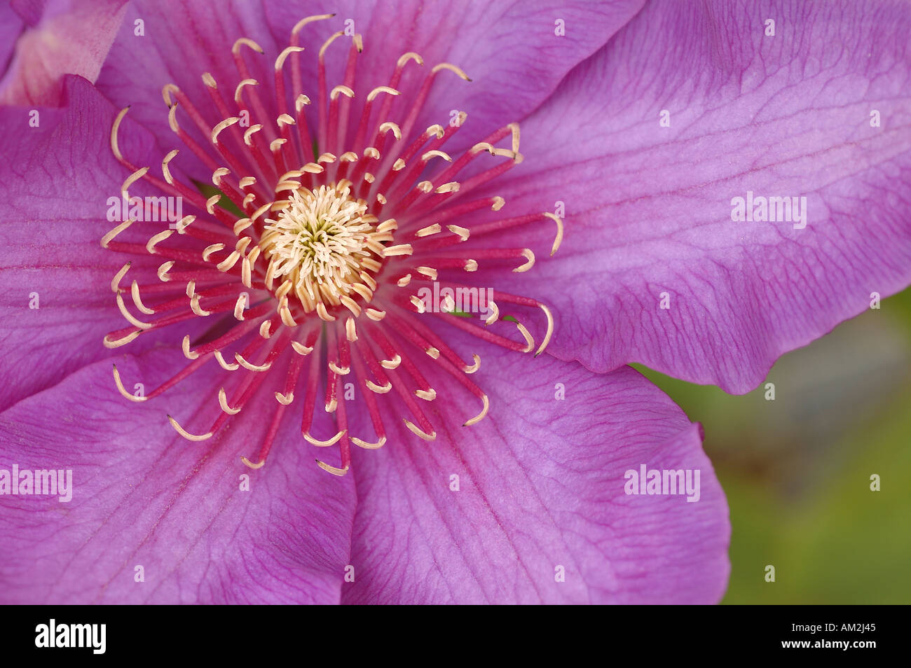 Richard pennell hi-res stock photography and images - Alamy