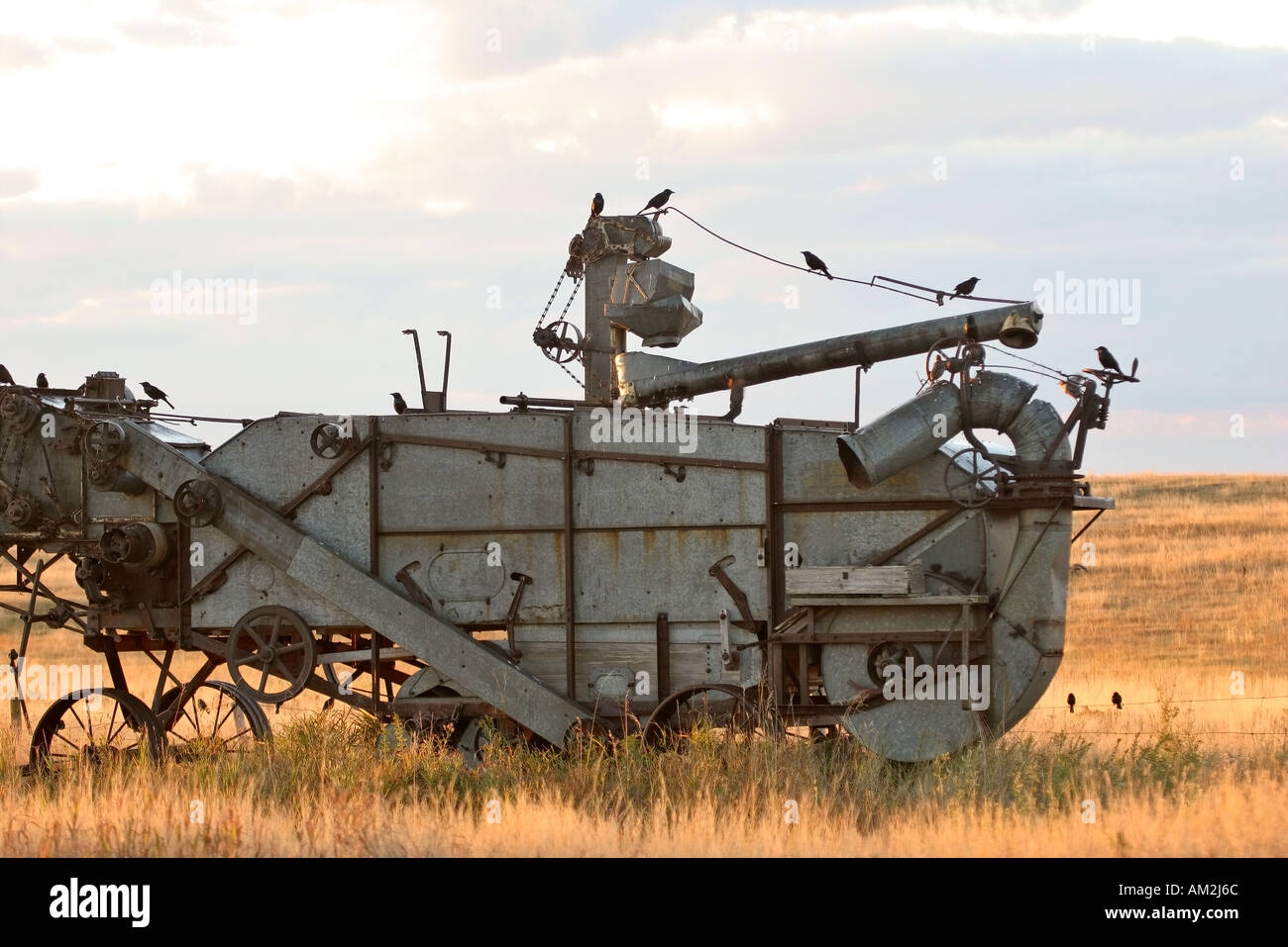Canada family farm threshing hi-res stock photography and images - Alamy