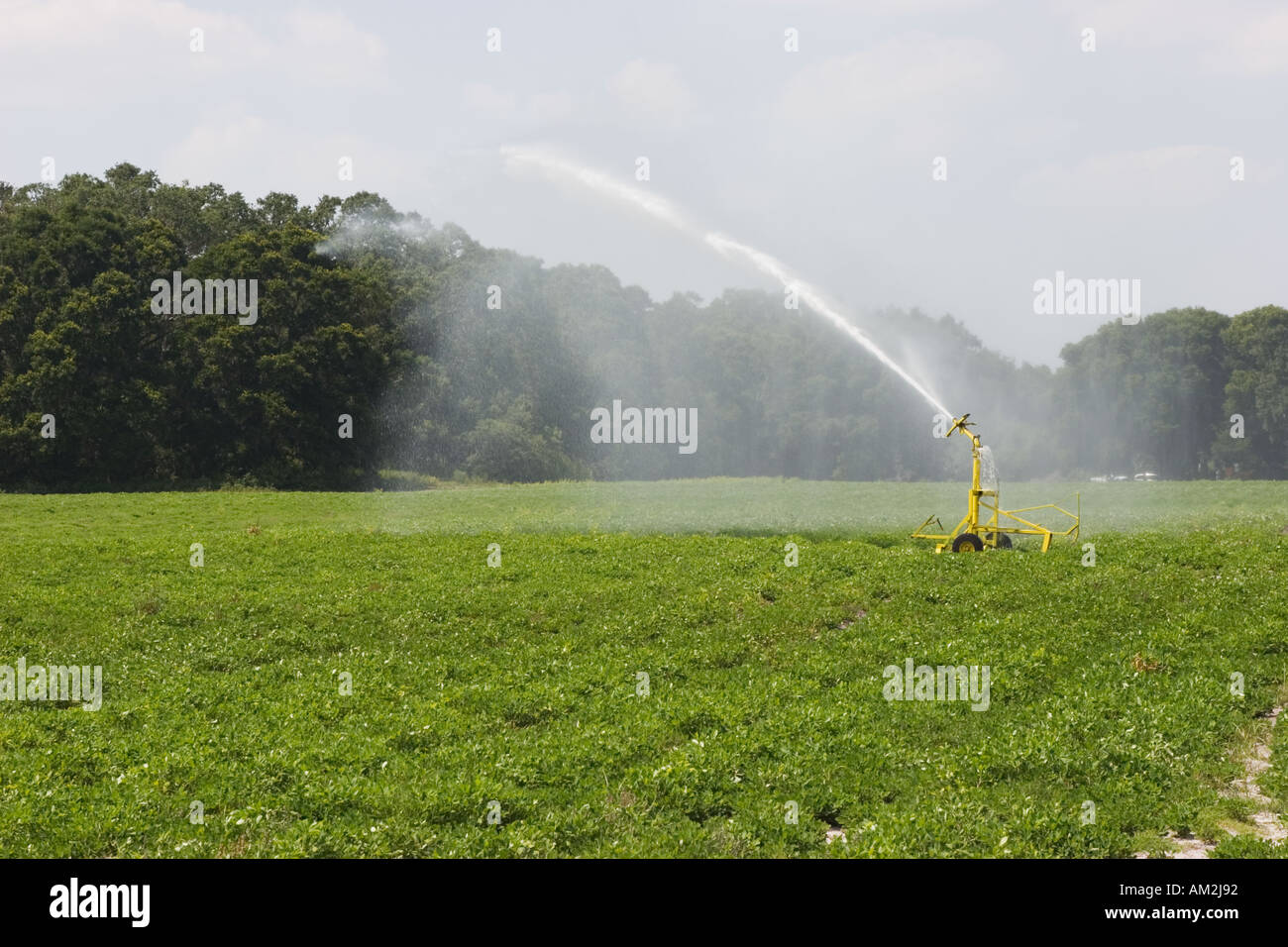 Hydrology field hi-res stock photography and images - Alamy