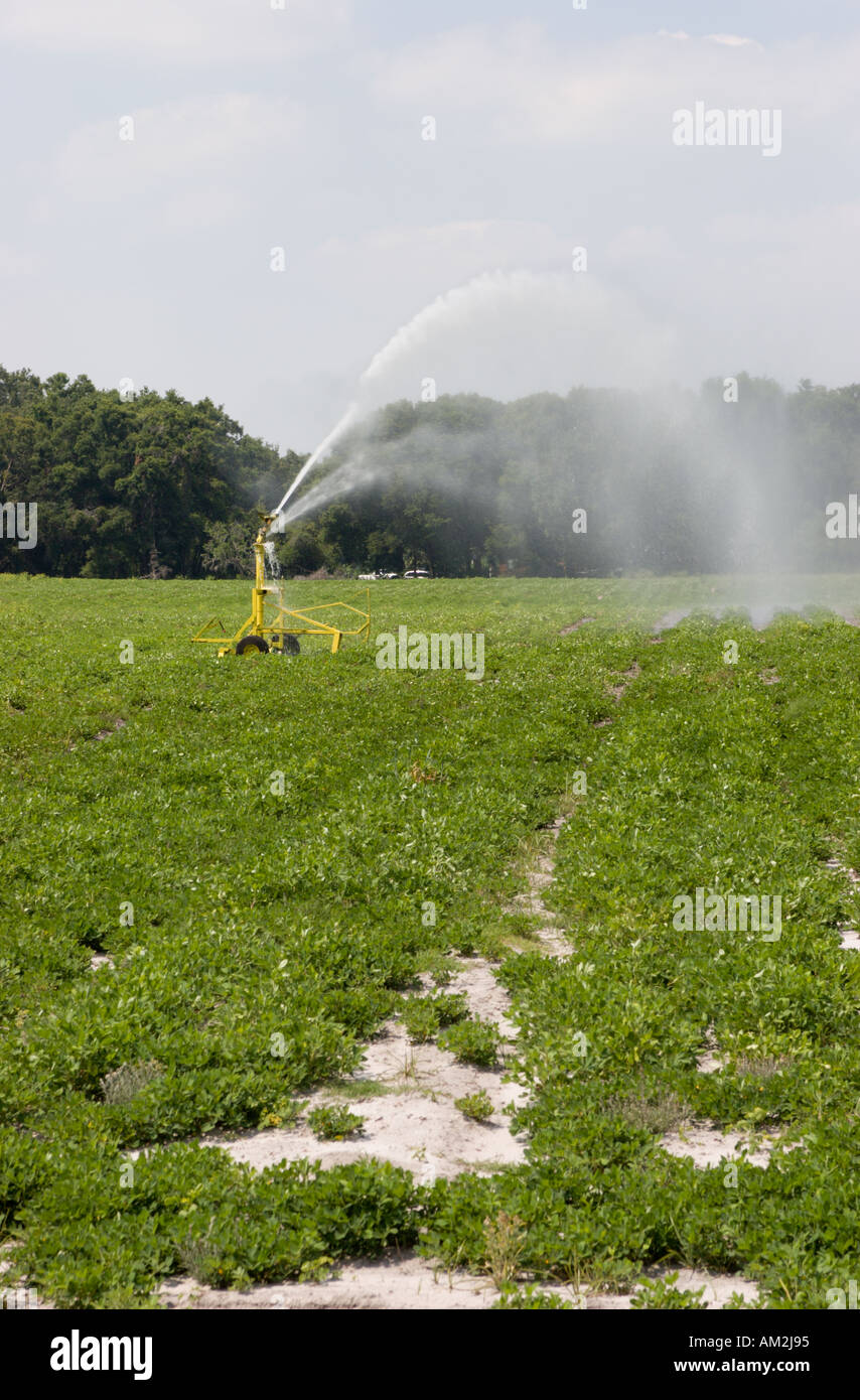 Circular sprinkler hi-res stock photography and images - Alamy