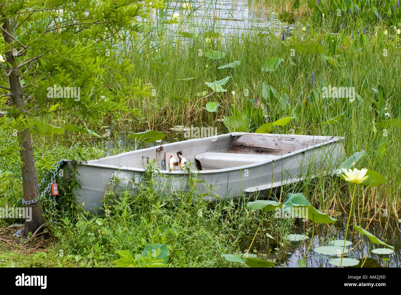 Old row boat chained to tree at edge of lake Stock Photo - Alamy