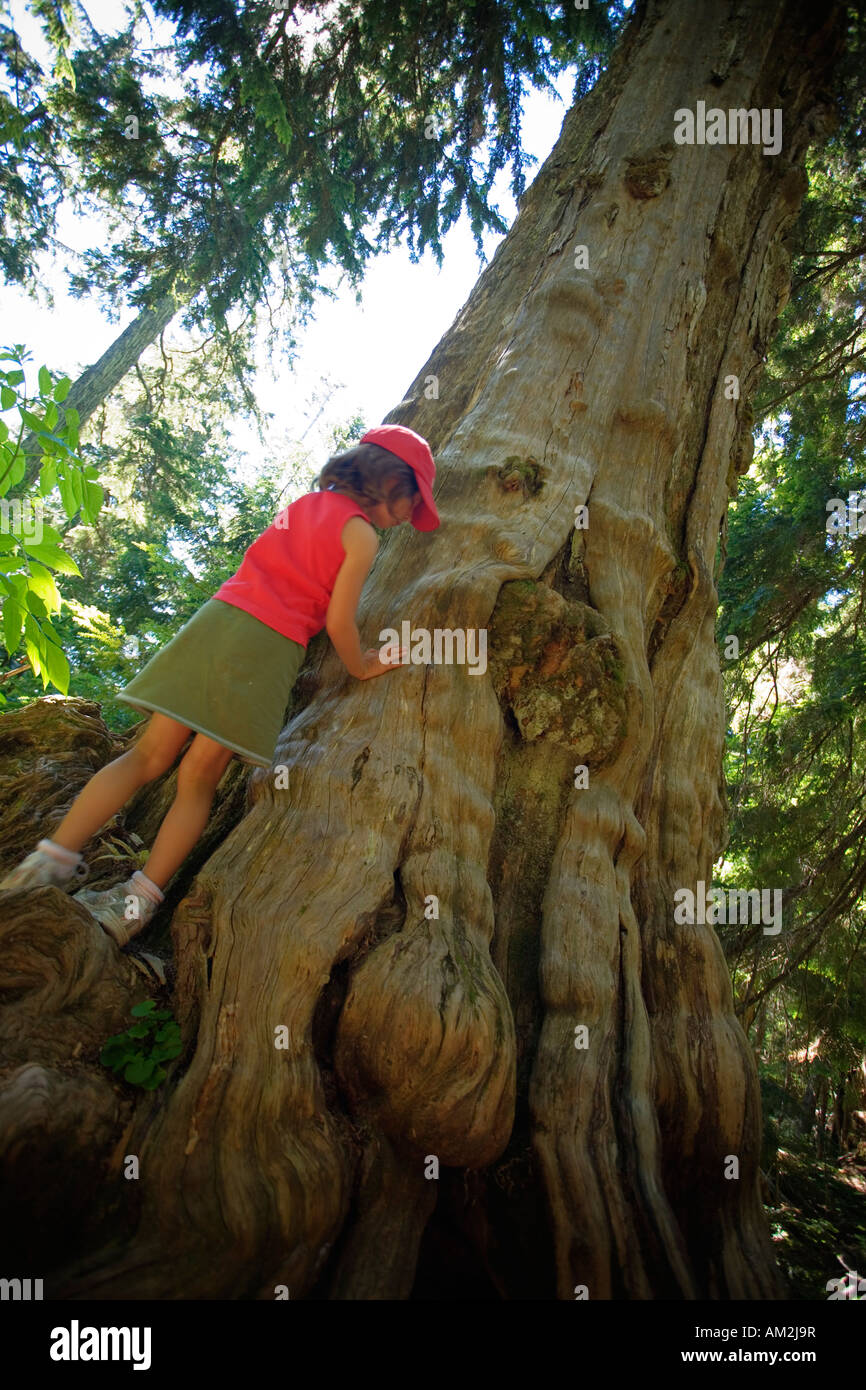 little girl standing next to a tall tree Stock Photo - Alamy