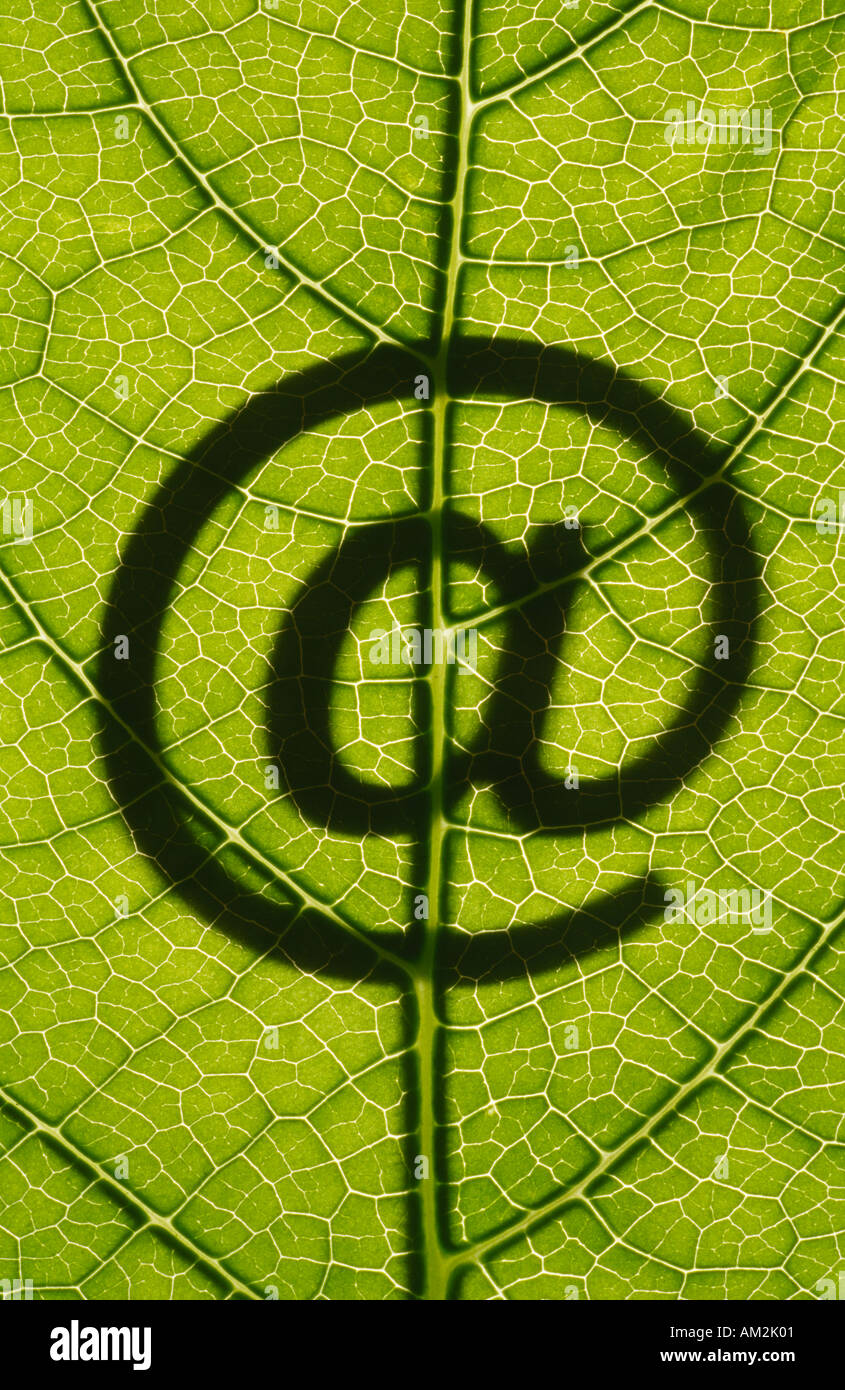 Leaf information hi-res stock photography and images - Alamy