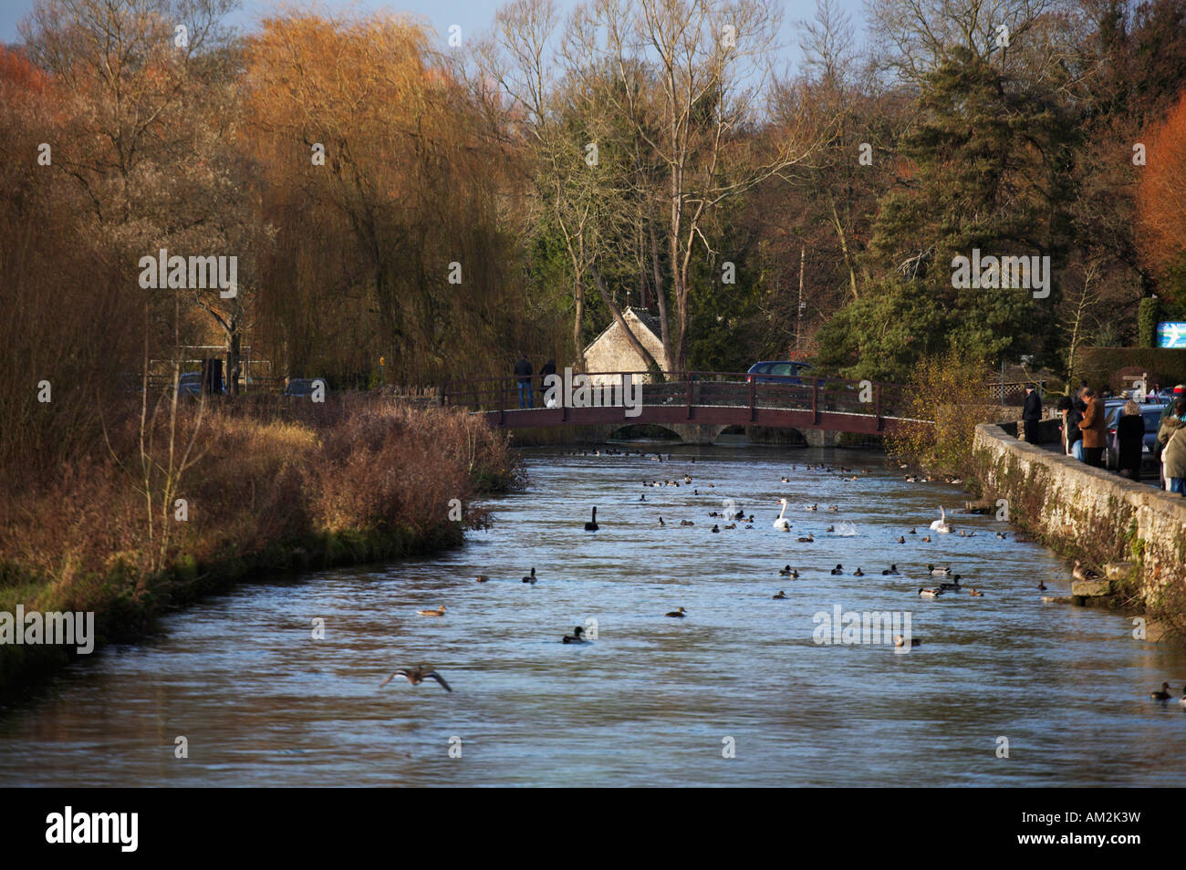 The River Coln at Bibury Gloucestershire England Stock Photo - Alamy