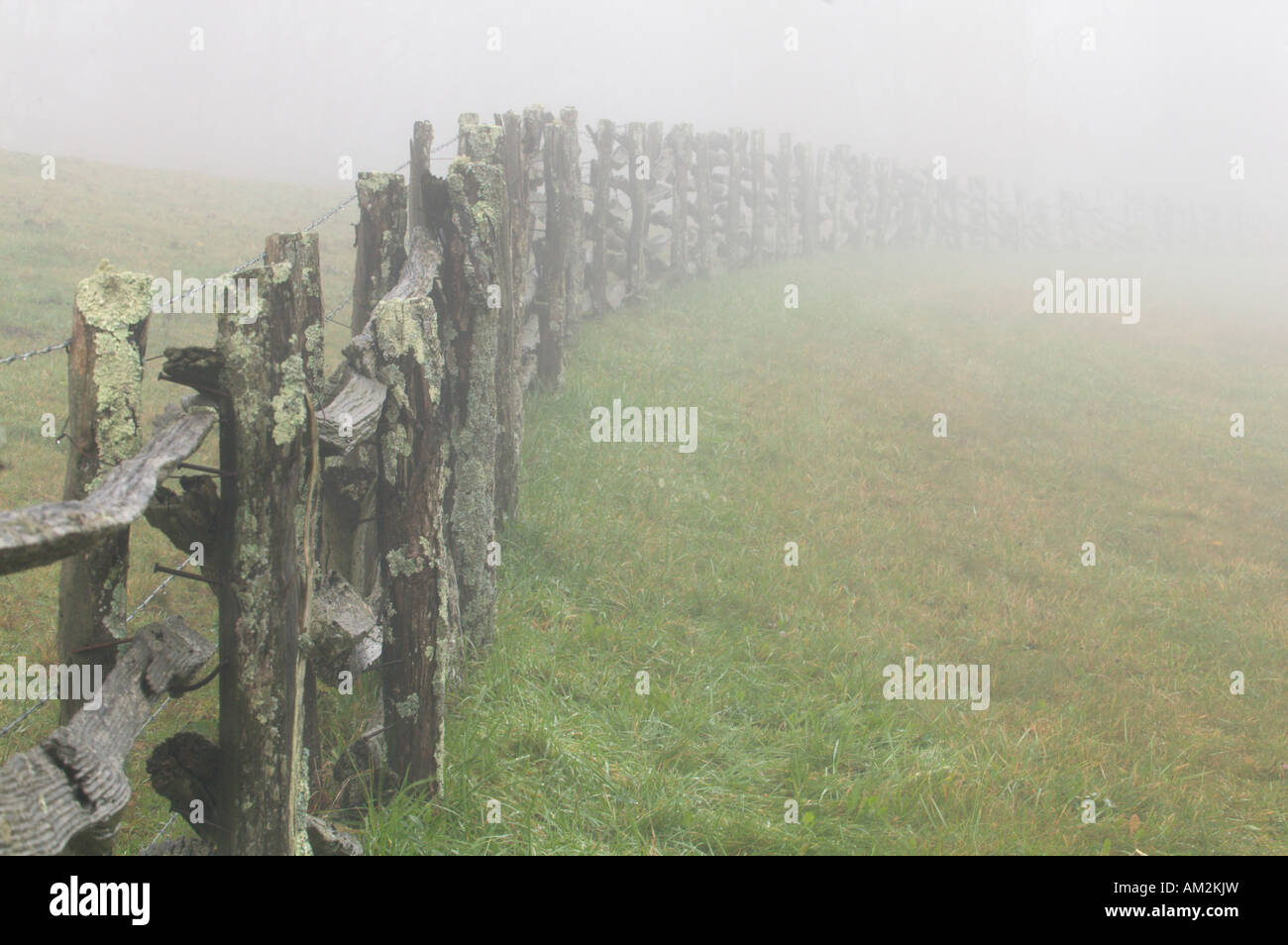 Fog along the Blue Ridge Parkway Stock Photo - Alamy