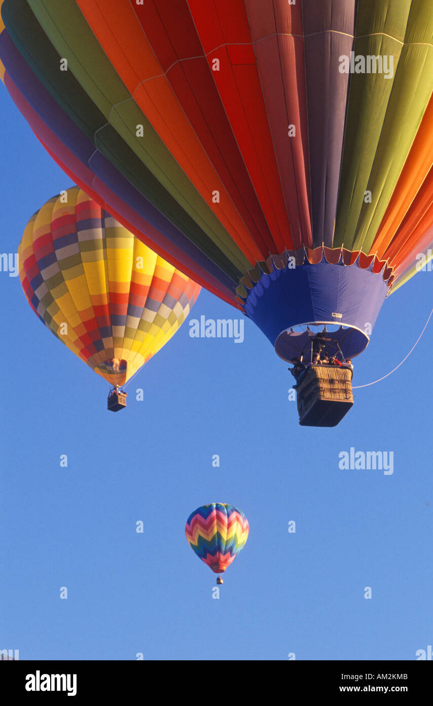 Balloons take to the air at the Albuquerque International Balloon ...