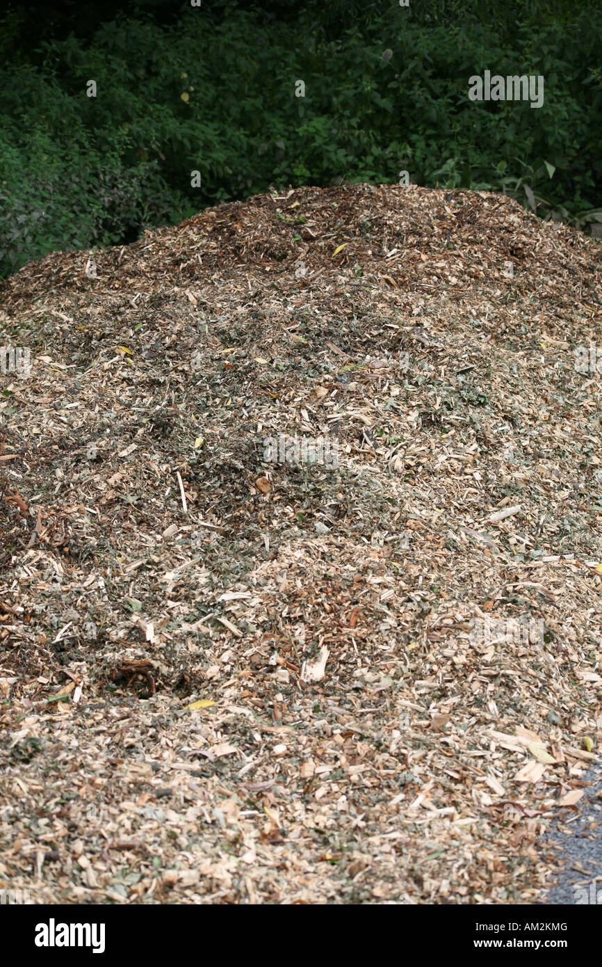 Chipped wood pieces hi-res stock photography and images - Alamy