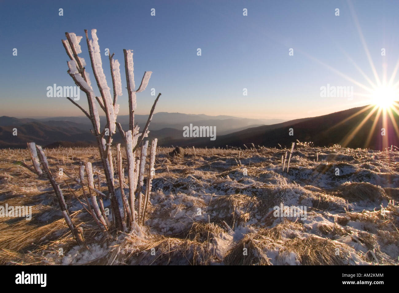 Round bald hi-res stock photography and images - Alamy