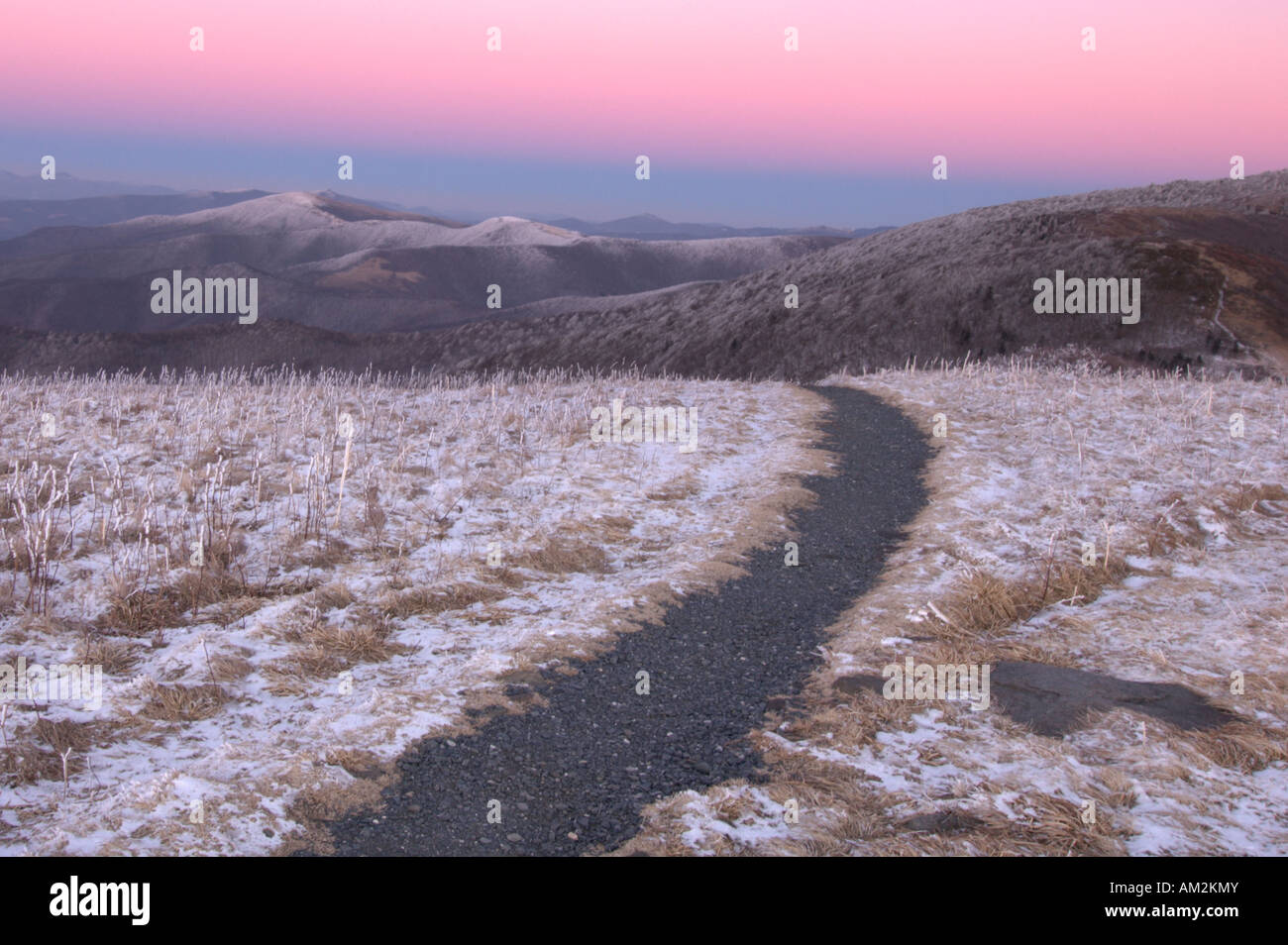 Round bald hi-res stock photography and images - Alamy