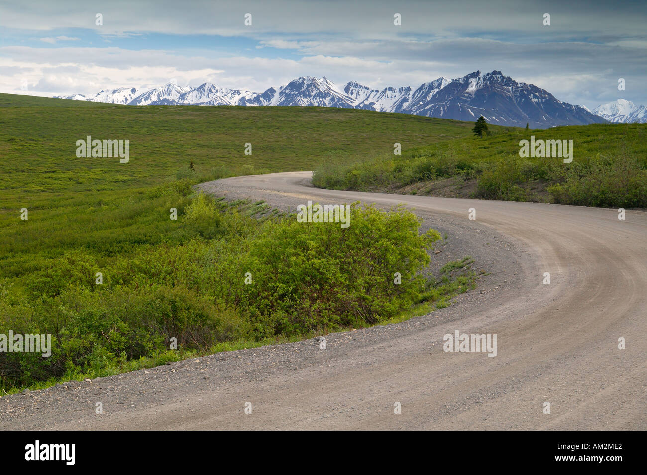 Primrose ridge denali national park hi-res stock photography and images ...