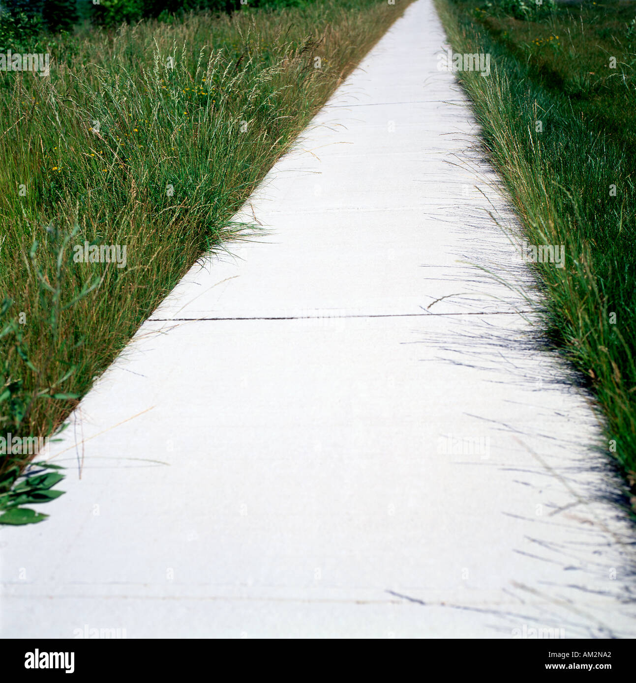 Low perspective view of an empty grass lined sidewalk pavement inFort ...