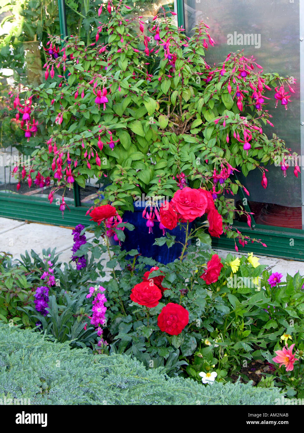 Container border garden flowers hi-res stock photography and images - Alamy