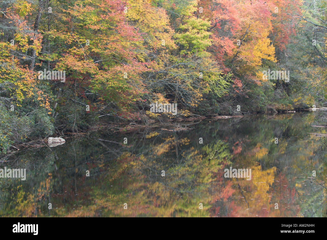 Fall colors reflecting in Linville River Stock Photo - Alamy