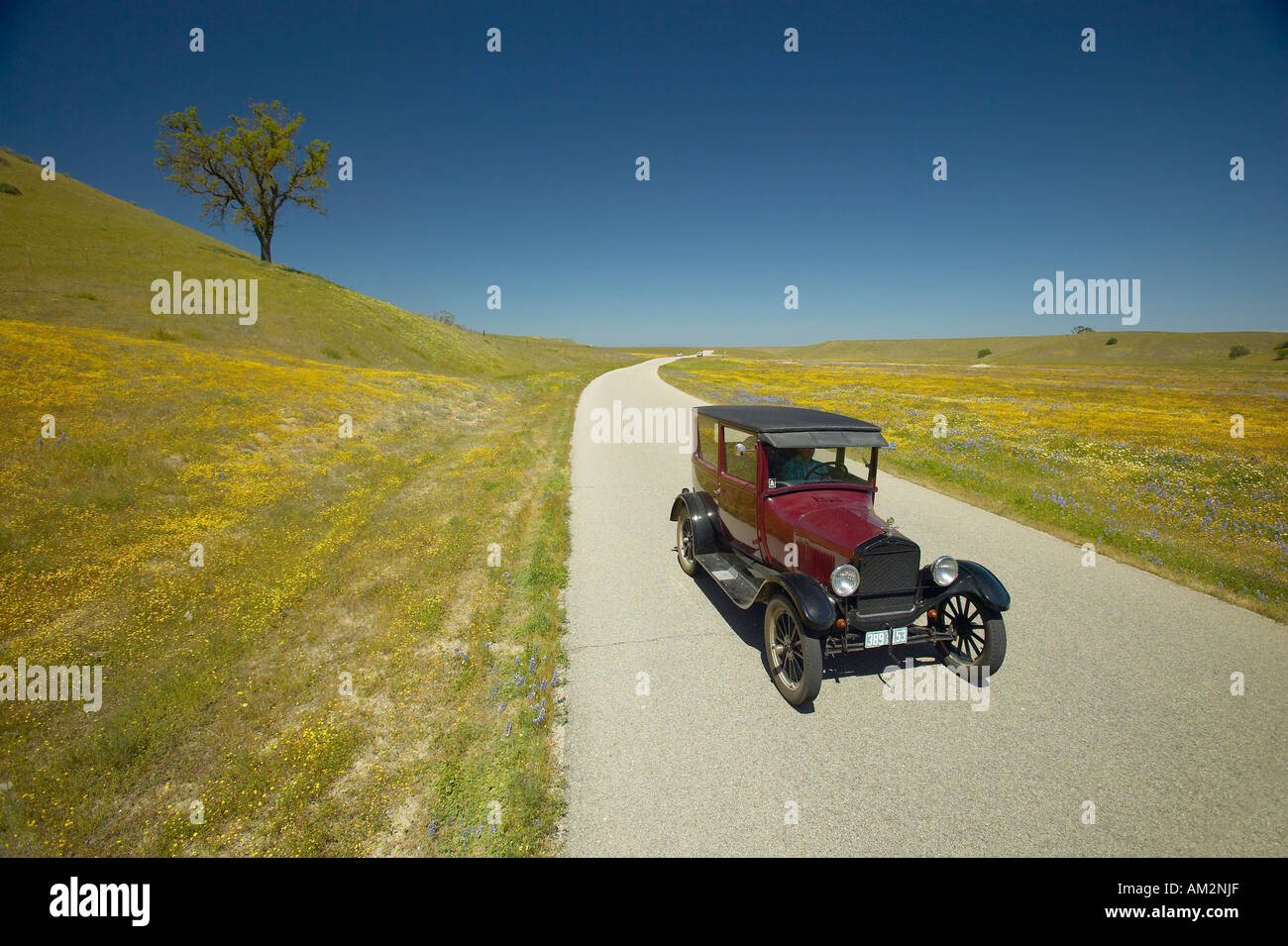 A maroon Model T driving down a scenic road surrounded by spring ...