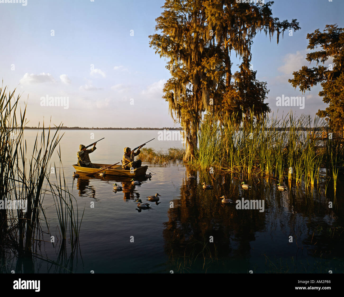 two men duck hunting at sunrise on lake Stock Photo - Alamy