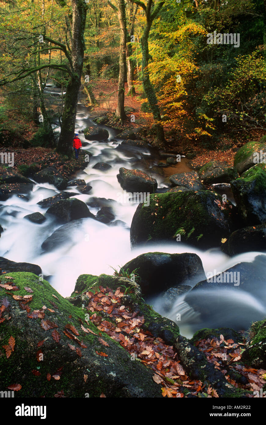 Becky falls dartmoor hi-res stock photography and images - Alamy