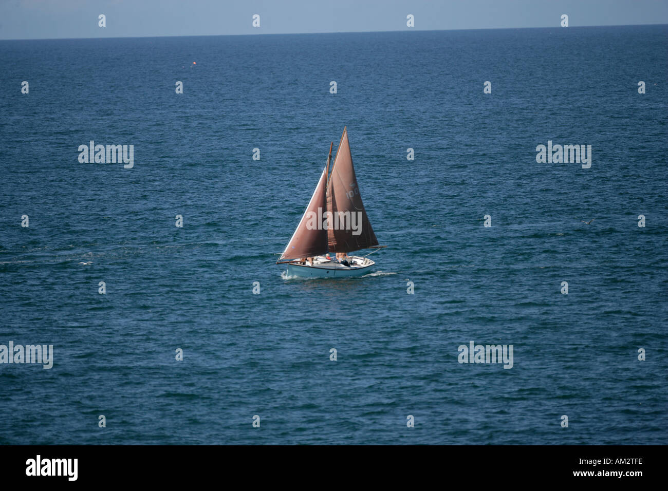 A cornish crabber sails out of Damar Bay Cornwall August Bank holiday ...