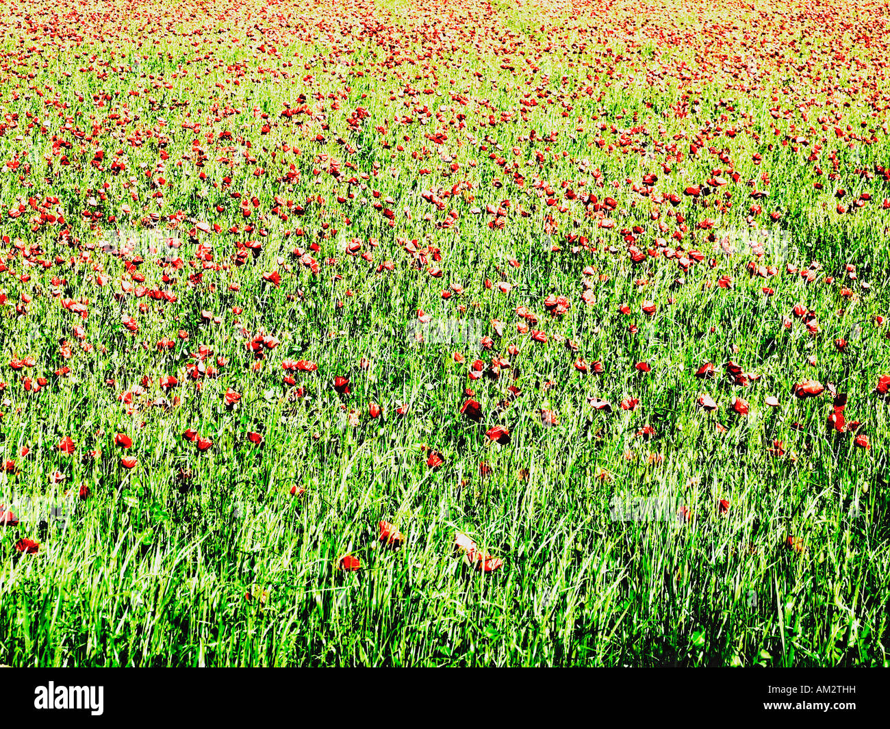 Flowers in spring germany hi-res stock photography and images - Alamy