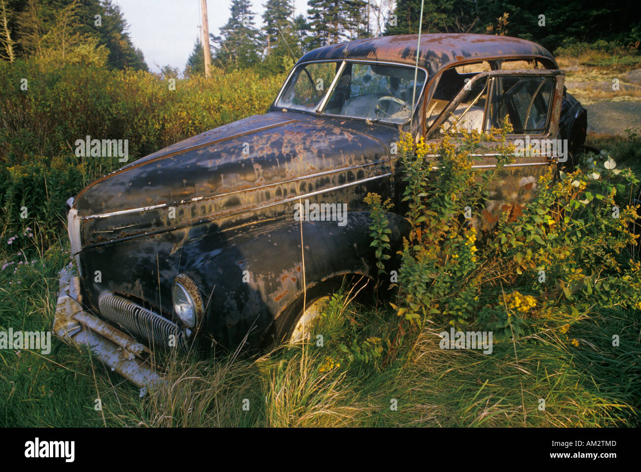 Overgrown car in a field hi-res stock photography and images - Alamy