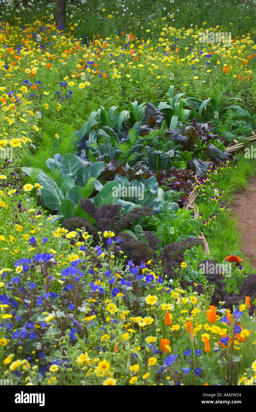 The Chelsea Flower Show 2005 Fetzer Wine Garden Kate Frey natural wild ...
