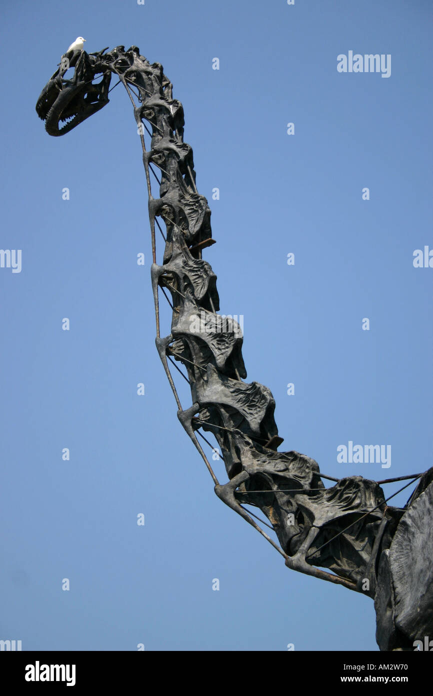 Dinosaur bird brain hi-res stock photography and images - Alamy