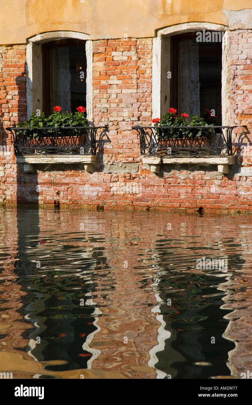 Reflections of brick wall windows and window boxes with red geraniums ...