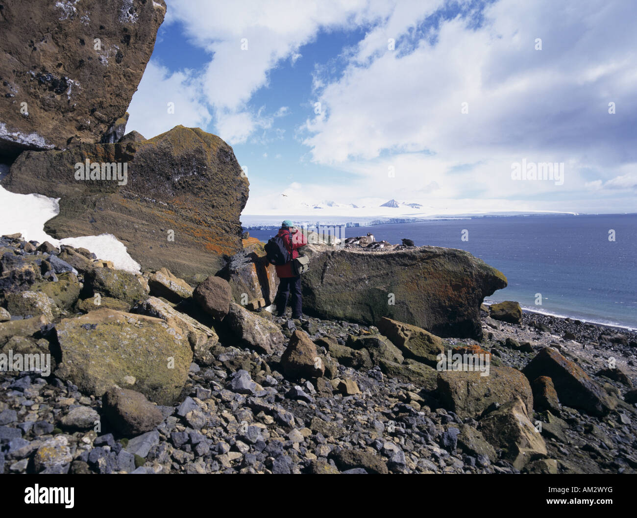 geography / travel, Antarctica, islands, Brown Bluff, landscapes, coast ...