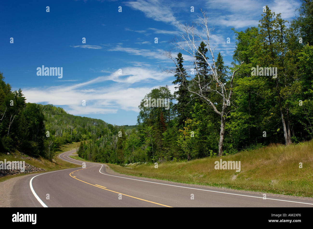 Stock photography of winding road through lush green forest in northern ...