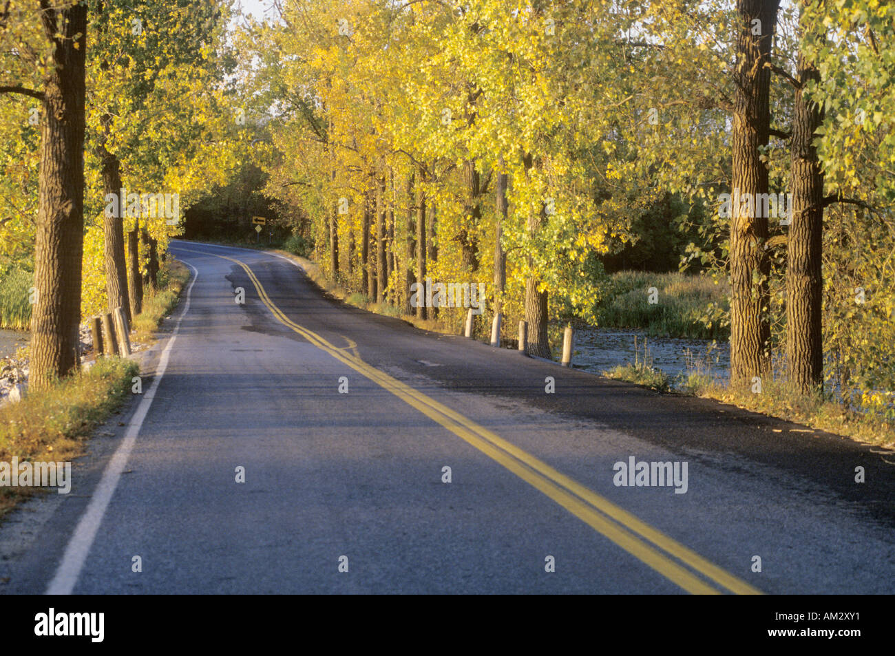 A two lane road crosses the New York Vermont border surrounded by ...