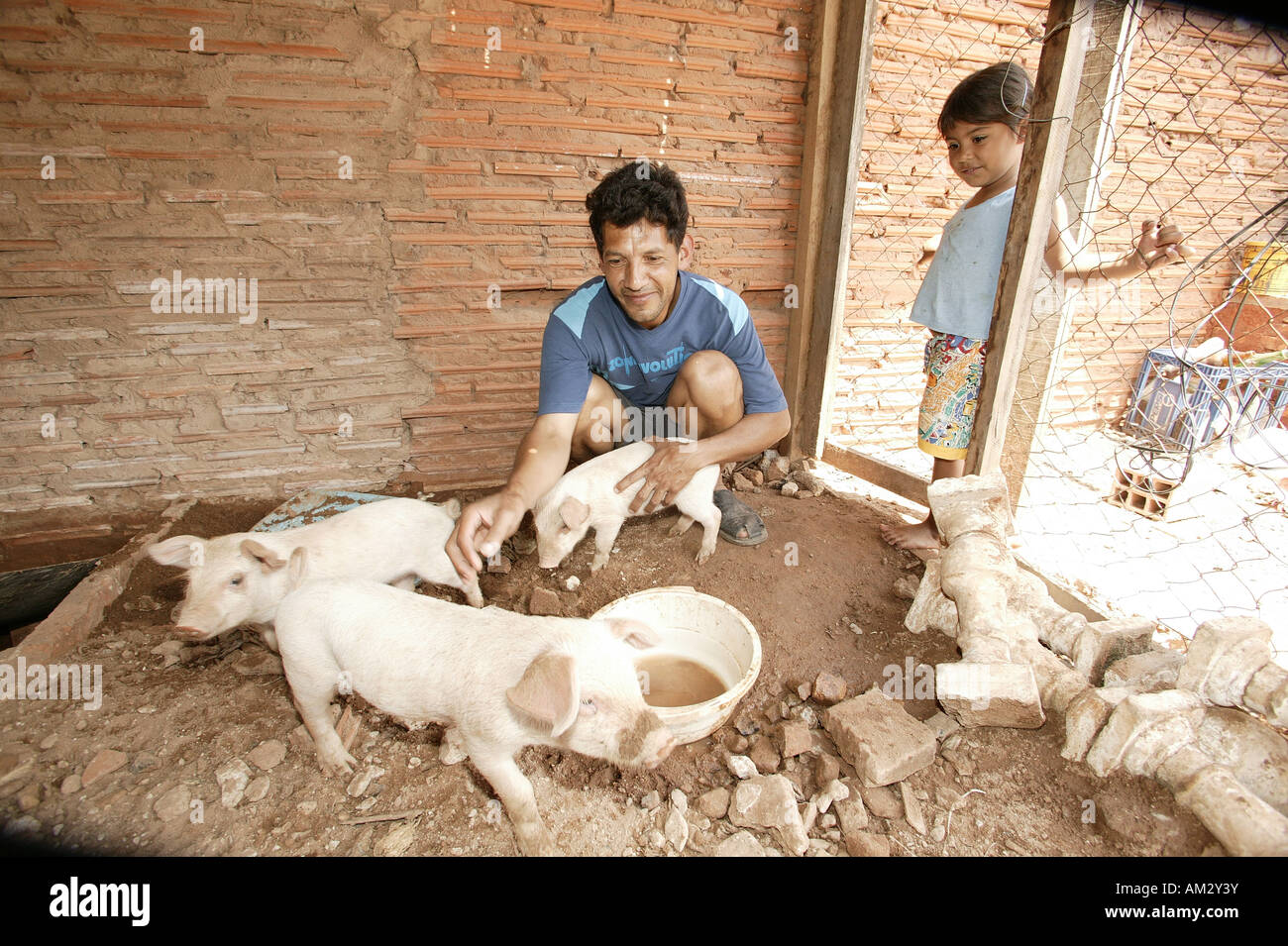 Guarani father and daughter with piglets, in the poor area of Chacarita ...