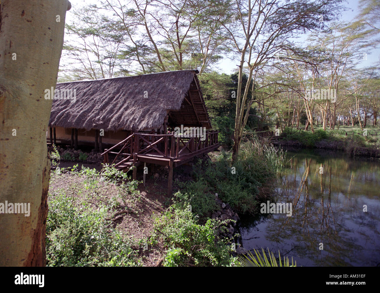Finch hattons kenya hi-res stock photography and images - Alamy