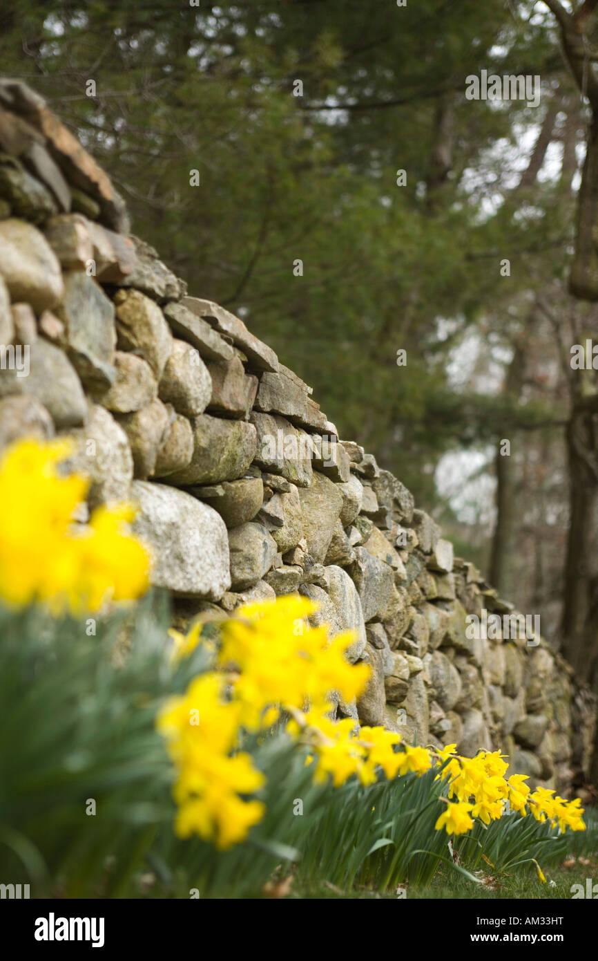 Stone Wall New England Forest Stock Photos & Stone Wall New England ...