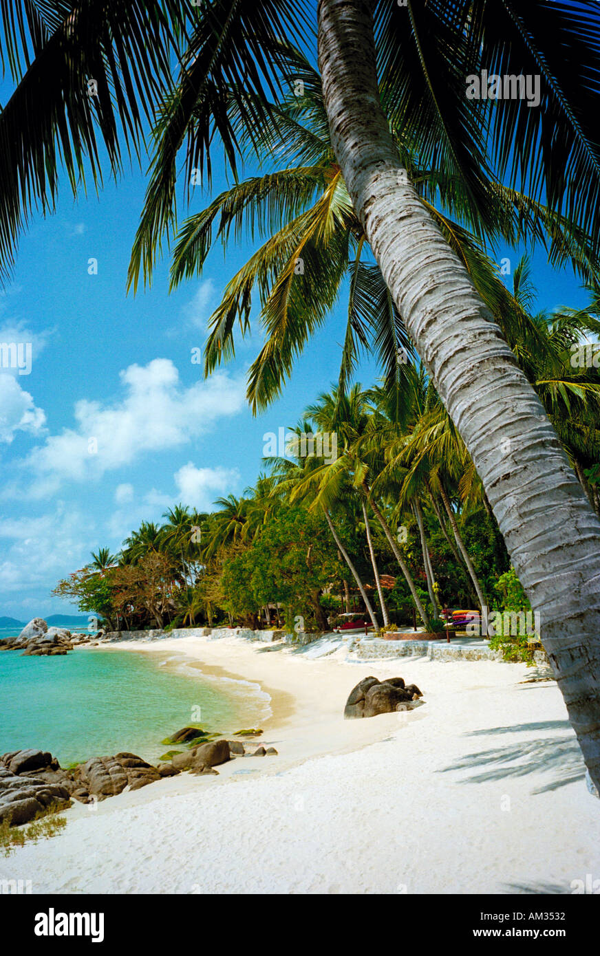 A classic Thai beach view - palm trees, silver sand, and blue green sea ...