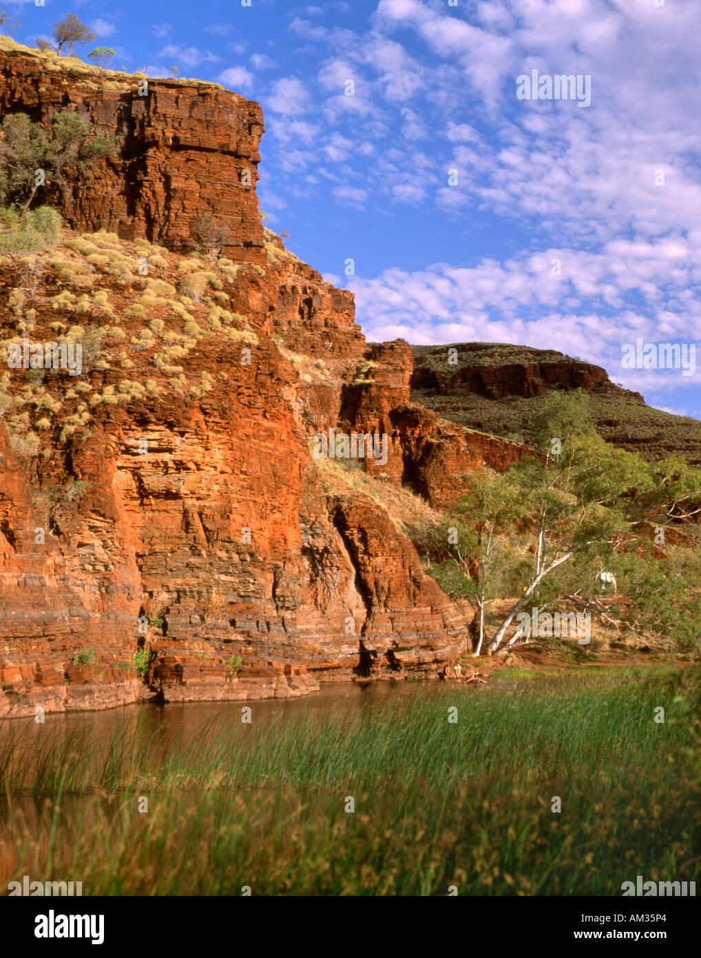 Australia. Western Australia. Hamersley range. Wittenoom gorge ...