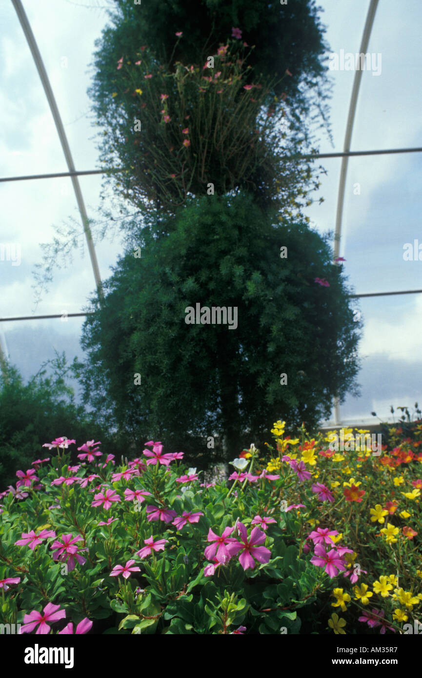 Controlled Experiment Plants