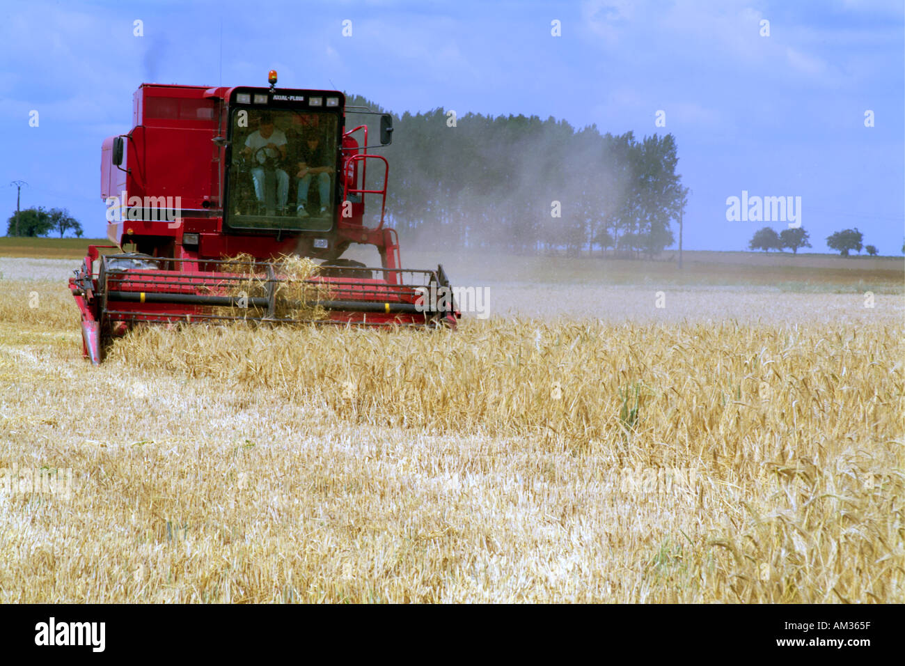 Man reaping wheat hi-res stock photography and images - Alamy