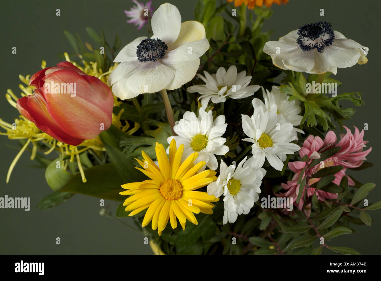 Rural flowers bouquet tulip daisy hi-res stock photography and images ...