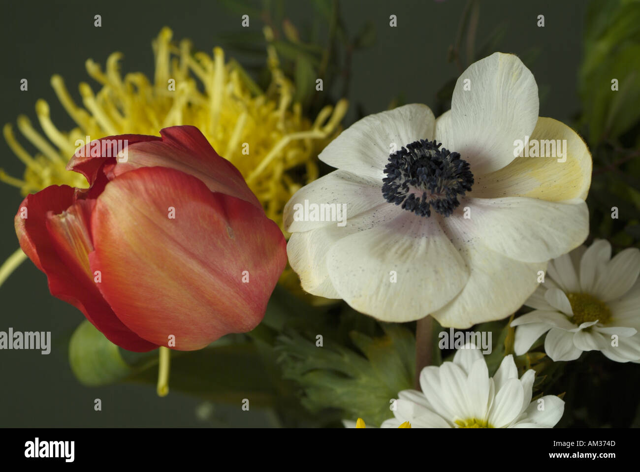 Rural flowers bouquet tulip daisy Stock Photo - Alamy