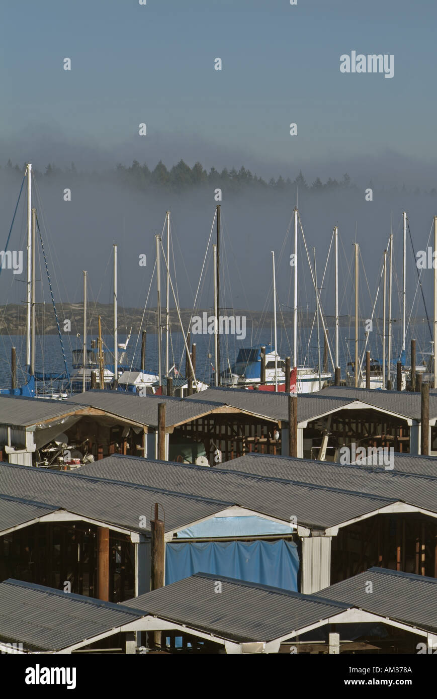 Protection island nanaimo vancouver island hi-res stock photography and ...