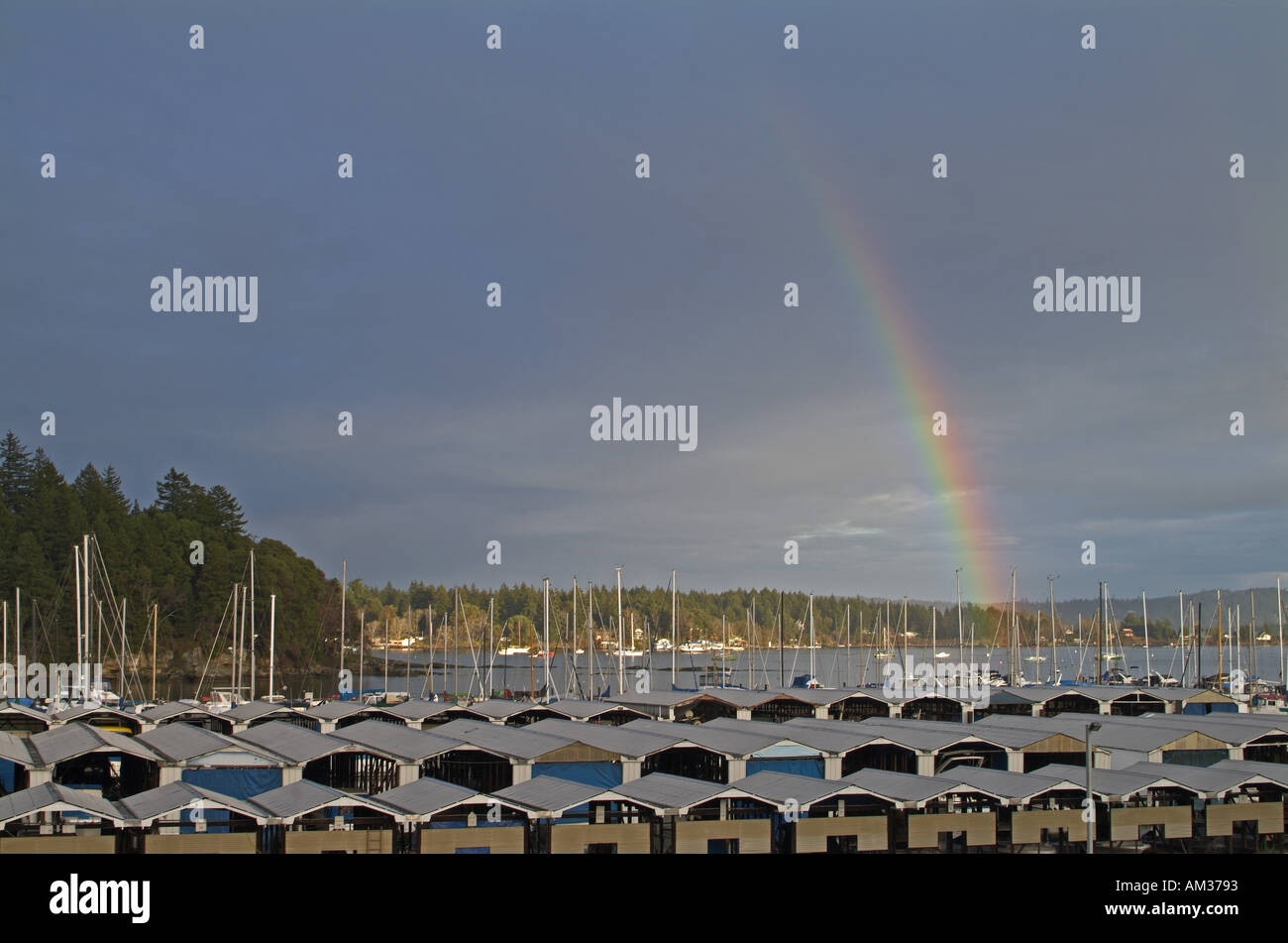 Protection island nanaimo vancouver island hi-res stock photography and ...