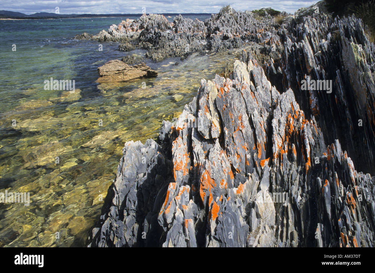 Unusual weathered siltstone rock formations in Rocky Cape National Park ...