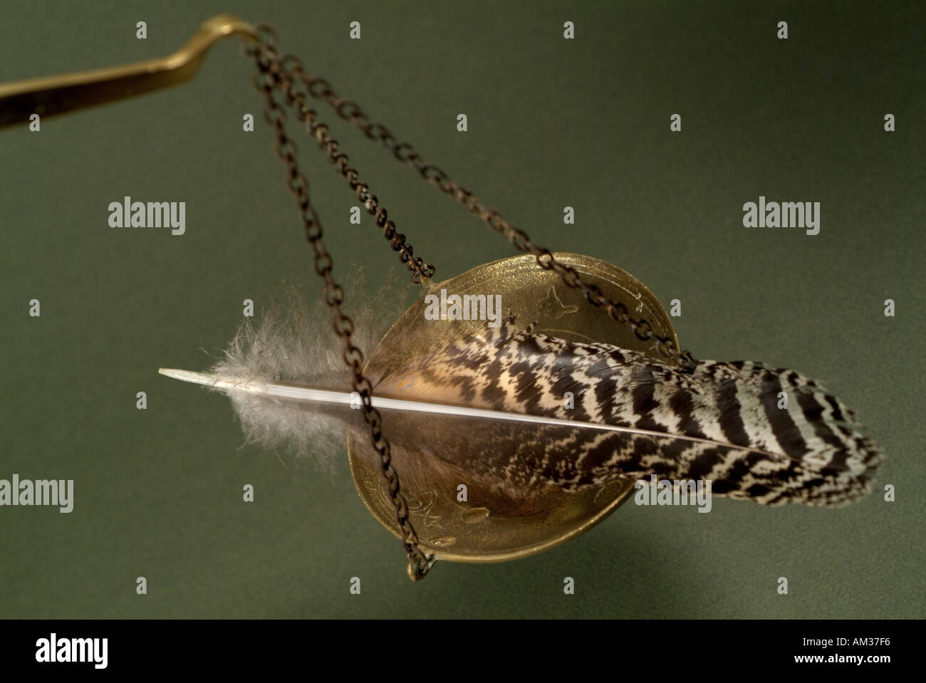 Balance scale feather hi-res stock photography and images - Alamy