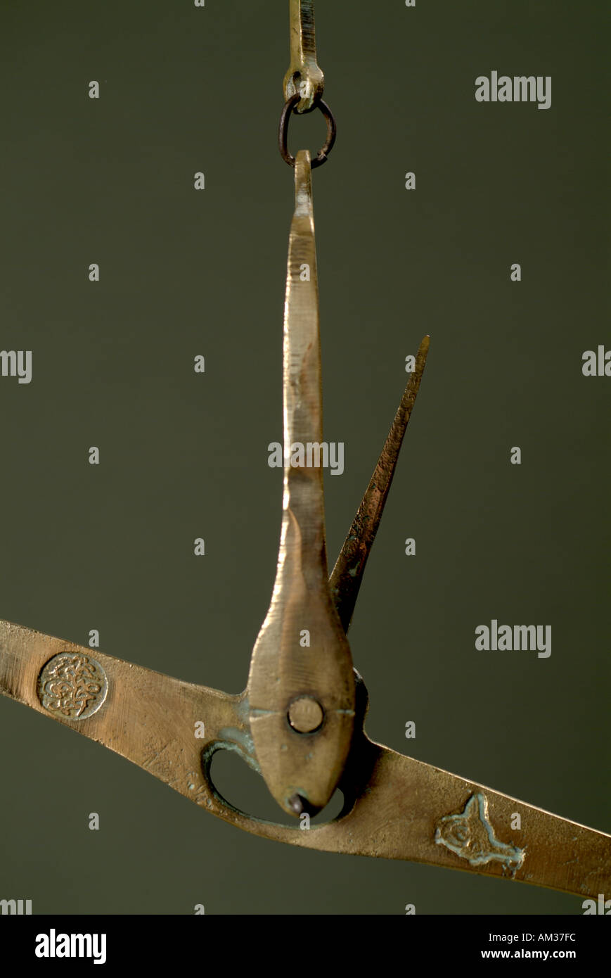 Two green hand weights hi-res stock photography and images - Alamy