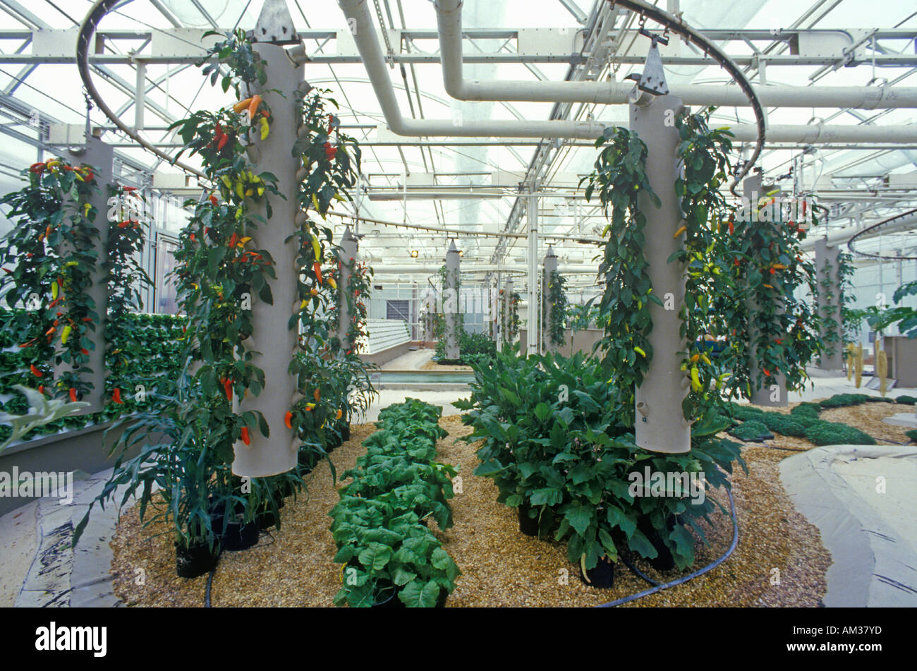 Hydroponic farming at the EPCOT Center FL Stock Photo - Alamy