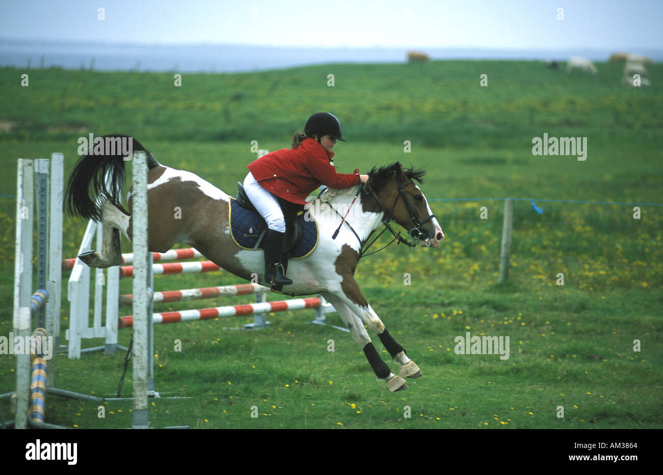 Child pony riding competition hi-res stock photography and images - Alamy